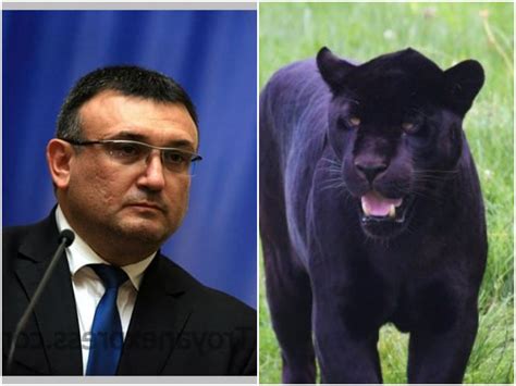 Бившият МВР министър Младен Маринов избяга от парламентарните дрязги на неочаквано място ето