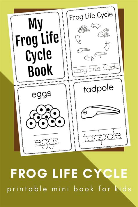 Free Printable Frog Life Cycle Book For Preschoolers