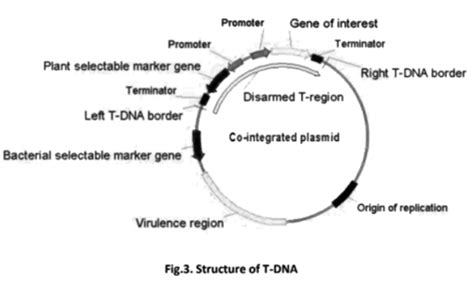 Cbse Notes Class 12 Biology Chapter 9 Free Pdf