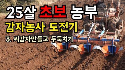25살 초보女농부 감자농사 도전기 3 씨감자만들기 트랙터로 두둑만들기 Youtube