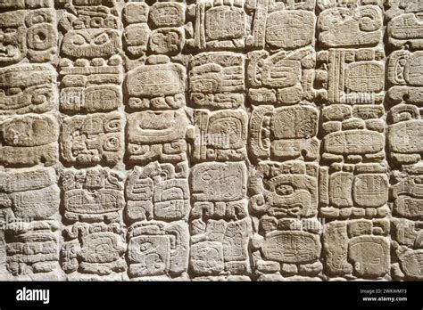 Mayan Script On Stela 31 From Tikal In The National Museum Of Anthropology In Mexico City