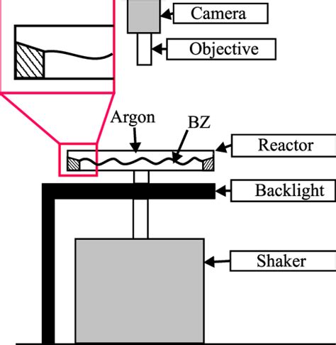 Color Online Schematic Diagram Of The Experimental Setup A Circular