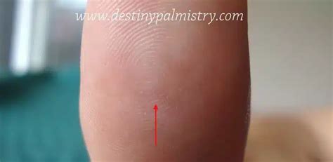 Fingerprint Meanings Including Loops And Whorls Destiny Palmistry