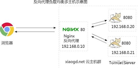 深入理解 反向代理（nginx） 知乎
