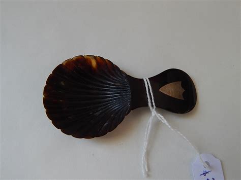 Rare Silver And Tortoise Shell Georgian Caddy Spoon Napier Antiques