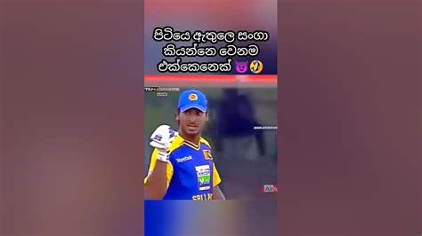 බෝලෙටත් ගහලා බෝලේ දාන පොරටත් ගහනවා 😂 ️ Youtube