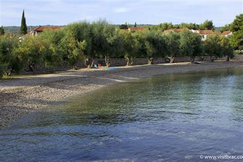 Mirca, Island Brač, Croatia | Apartments