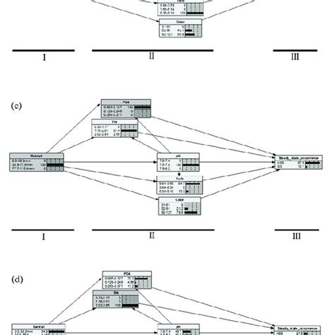 structure of the bayesian network model showing the effects of rainfall