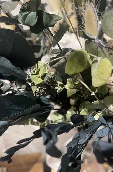 Hidden Botanics Reviews - 162 Reviews of Hiddenbotanicsweddings.com