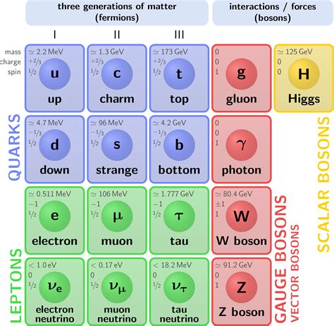 standard model