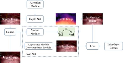 The Architecture Of The Proposed Self Supervised 3d Dimensional Download Scientific Diagram