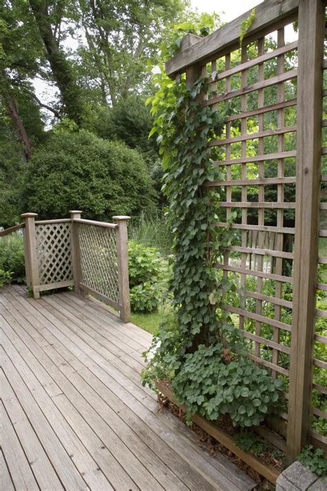 16 Inspiring Deck Trellis Ideas For Every Home