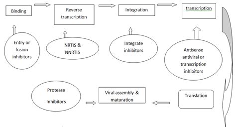 Machine Learning Approaches In Drug Development Of Hivaids Medcrave Online