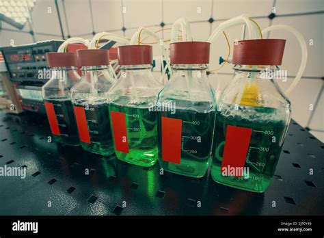 Experimental Setup For Enzymatic Synthesis By Genetically Modified