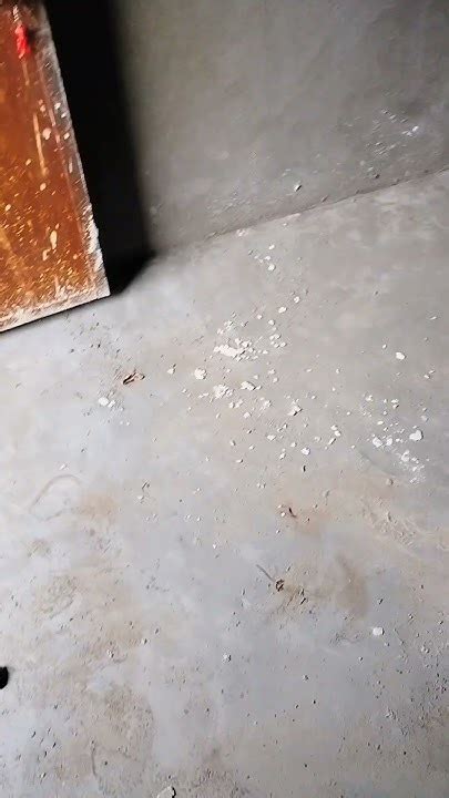 Achievement To Set Up A Small Office Upwork Freelancer Scodemonster Youtube