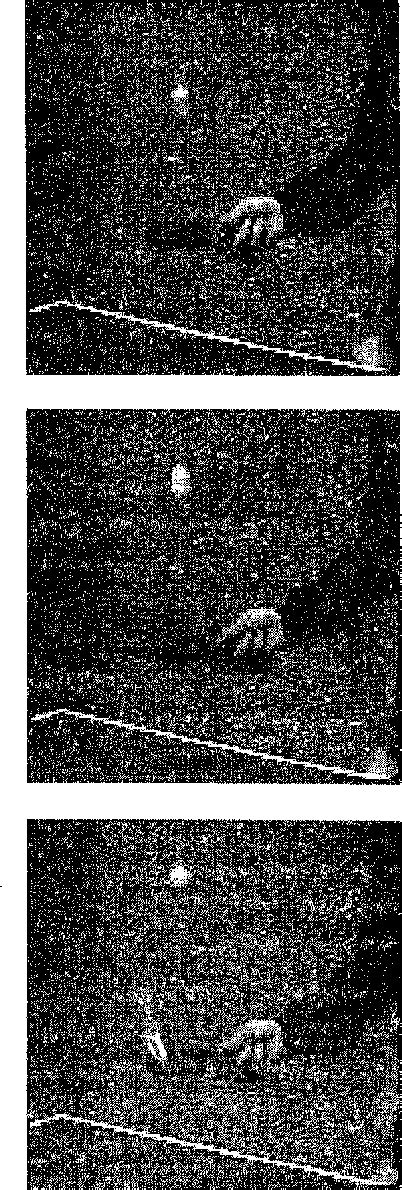 Figure 1 From Temporal Enhancement And Color Based Motion Detection In Image Sequences