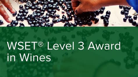 Wset Course Level 3 Wset Courses Wset And Pro All Events East London Local Wine School