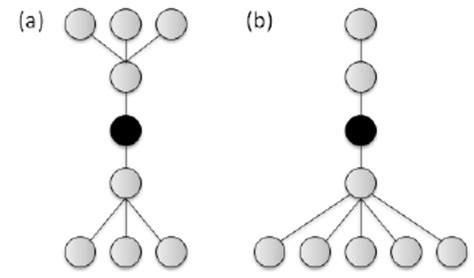 diversity entropy and balanced access considering self avoiding random
