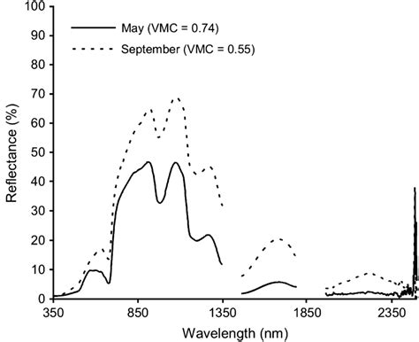 Typical Field Spectral Signatures For S Pulchrum Collected On May 16