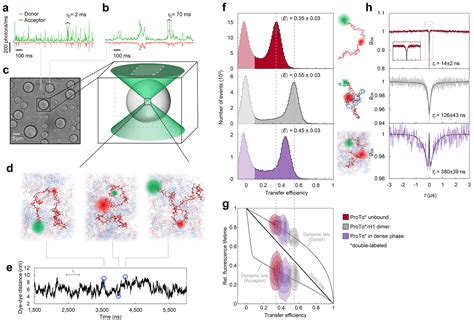 Extreme Dynamics In A Biomolecular Condensate Pmc