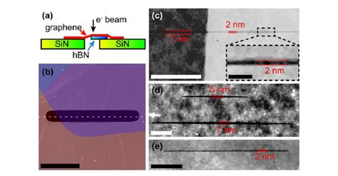 Patterning Suspended Monolayer Graphene And Hbn Supported Monolayer