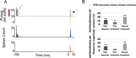 Vpm E Stimulation Just Before Whisker Stimulus Enhances Sensory