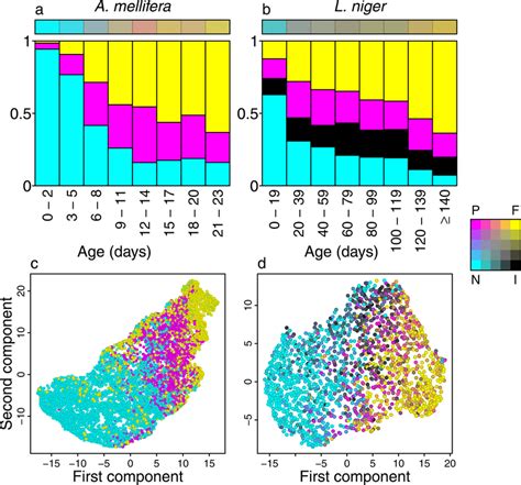 Correlations Between Age Module Score And Task Validate The Spatial Download Scientific
