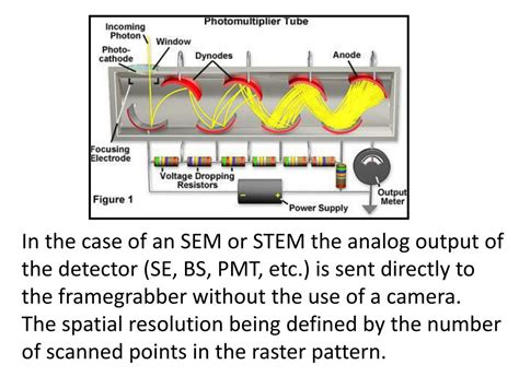 PPT Detectors PowerPoint Presentation Free Download ID 5783254