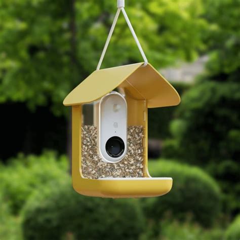 TCL RayNeo X AR Glasses Unveiled At CES