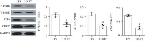 A Flow Cytometric Sorting Of Cd11c And Cd86 Cells In Lymph Nodes