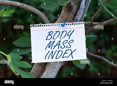 Index Writing Meaning At Mae Burley Blog