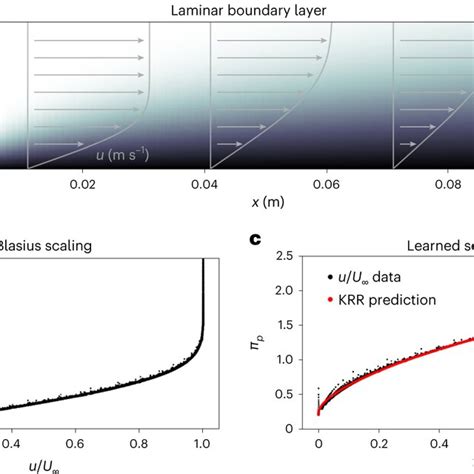 learnt blasius scaling in laminar boundary layer a velocity field of