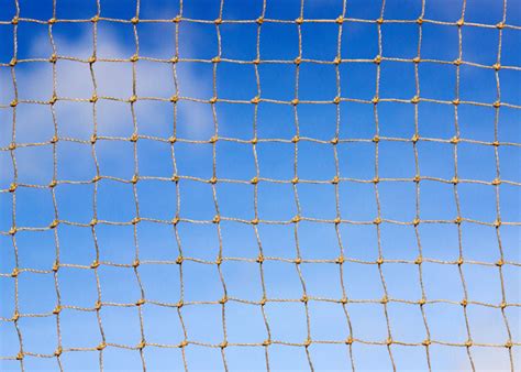 Aviary Netting 28mm Henry Cowls