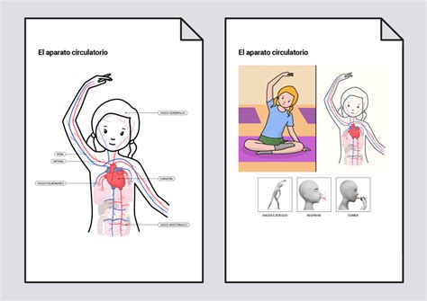 Libro De Comunicación Partes Del Cuerpo Humano Vocabulario Soyvisual