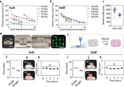 Printability And Self‐standing Capacity Of Boronate Ester‐based Download Scientific Diagram
