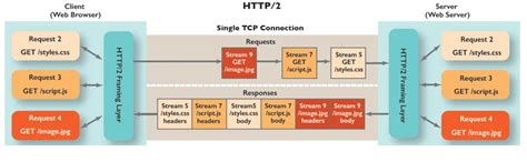 2 ‘rapid Reset Ddos Atağı Cve 2023 44487 Ali Rodoplu
