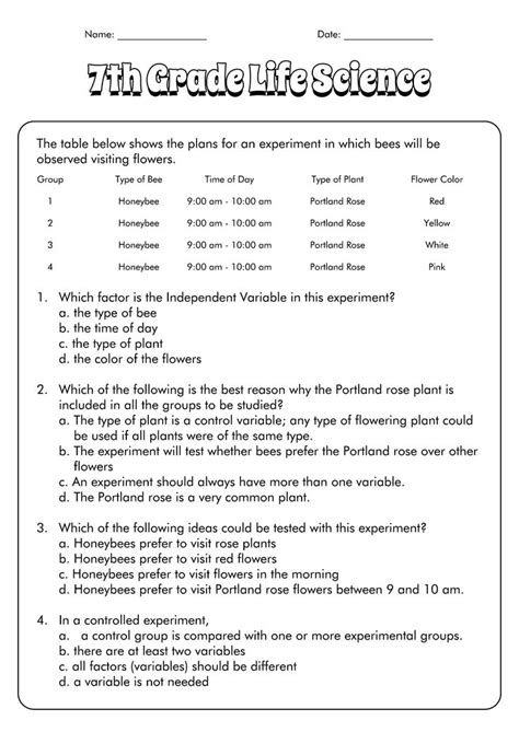 18 7th Grade Science Cells Worksheets Science Cells
