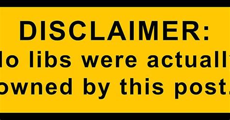 Disclaimer Irresponsibly High Resolution Album On Imgur