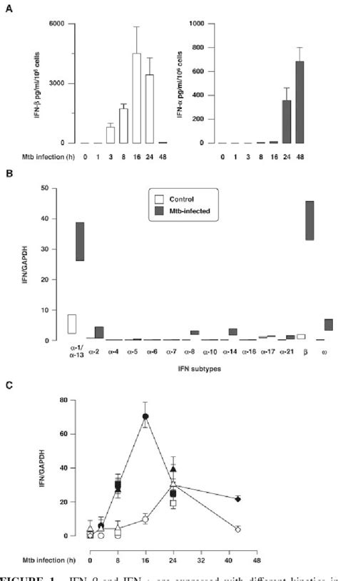 Figure 1 From This Information Is Current As Mycobacterium Tuberculosis Human Dendritic Cells