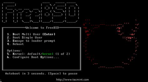 installing a unix like operating system freebsd 10 1 and configuring