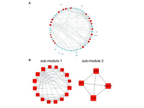 Ppi Network Analysis A Ppi Network B Sub Module 1 And Download Scientific Diagram