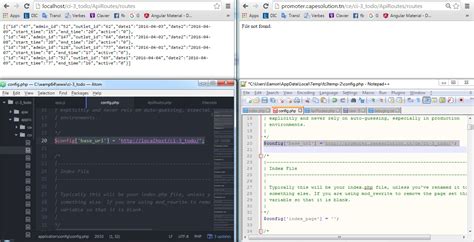 Angularjs Codeigniter Api Methods Working On Localhost But Not On