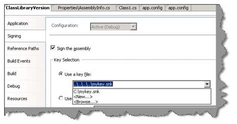 Net Assembly Binding Redirect Learning