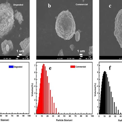 SEM Images And Particle Size Distribution Of Degraded A D Download Scientific Diagram