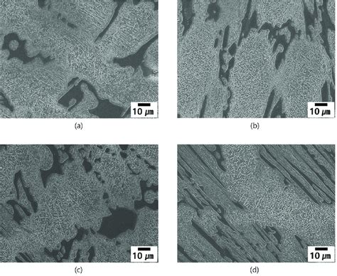 Sem Micrographs Of A Dendrite Region Of The Des Temper Treated