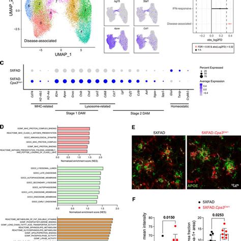 Depletion Of Mast Cells Increases Transcriptomic Profiles Of