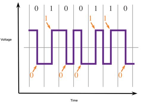 Physical Layer Part Study Flashcards Flashcards Quizlet