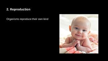 Introductory Biology Lecture Slides By Biology Mania TPT
