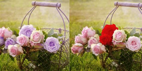 How To Use Selective Color In Photoshop Steps Tips