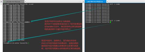 Linux进程信号linux 信号11 Csdn博客